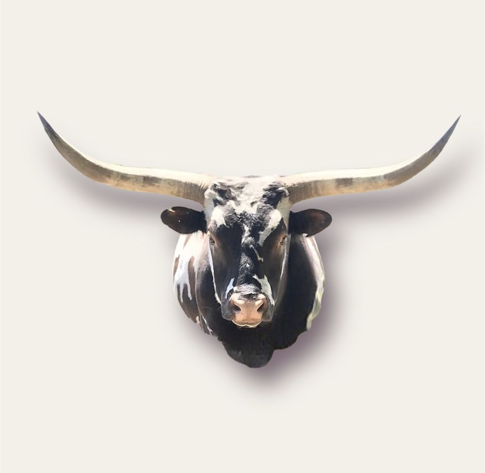 THE YOUNG-OUTLAW RANCH - 2353 Indian Springs Rd, Dudley, NC - Yelp