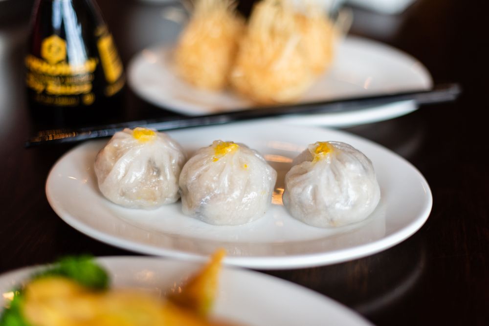 DIM SUM MANIA - 231 Photos & 165 Reviews - 17-19 E State St, Media ...