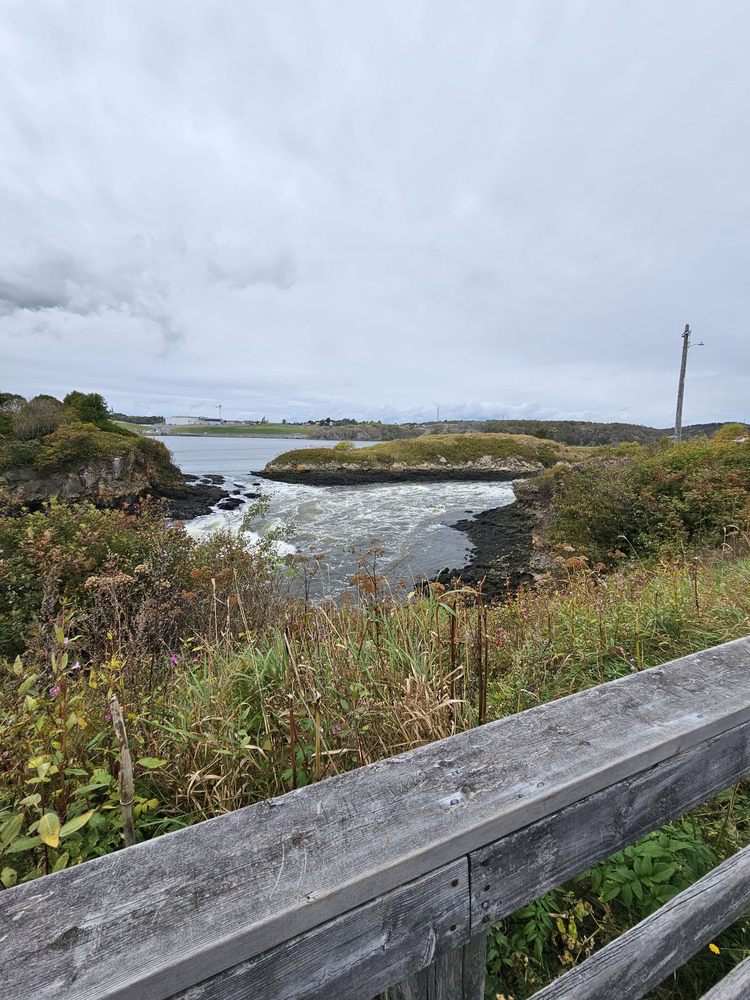 THE SAINT JOHN SKYWALK AND REVERSING FALLS - Updated February 2025 - 64 ...
