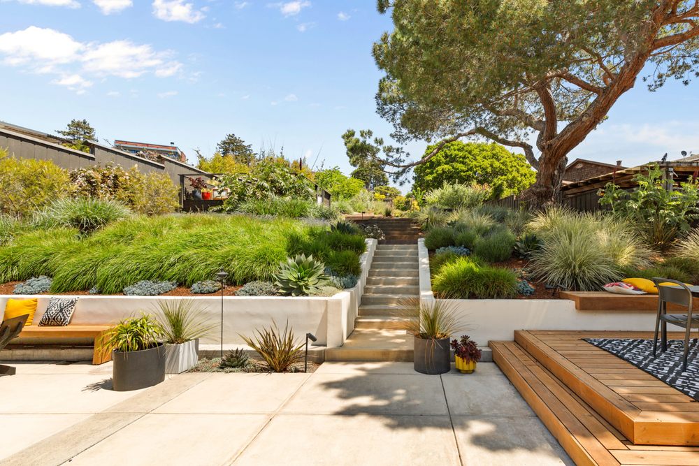 OSCITO - Updated May 2026 - 100 Photos & 20 Reviews - Berkeley ...