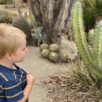 KATE O SESSIONS CACTUS GARDEN - Updated October 2025 - 80 Photos & 18 Reviews - Balboa Park, San ...
