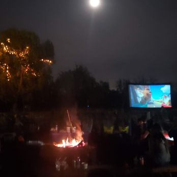 BISHOP’S PUMPKIN FARM - Updated September 2024 - 969 Photos & 532 ...