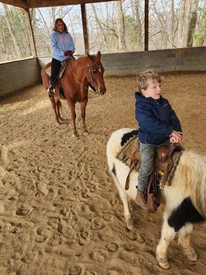 R&M STABLES - Updated October 2024 - 18 Photos - 1060 Goshentown Rd ...