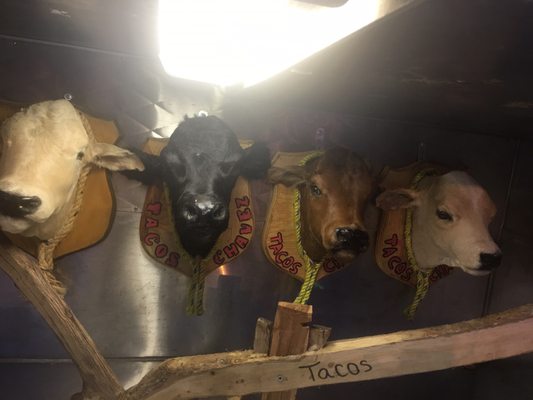 TACOS CHAVEZ - Updated July 2025 - 25 Photos & 48 Reviews - 75 Coombs ...