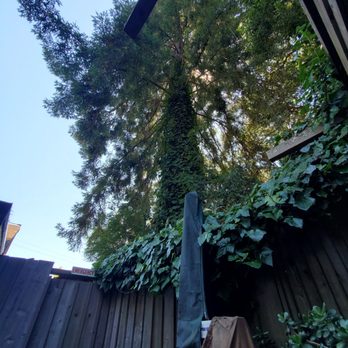 ALMONTE SPA - Updated October 2025 - 75 Photos & 202 Reviews - 158 ...