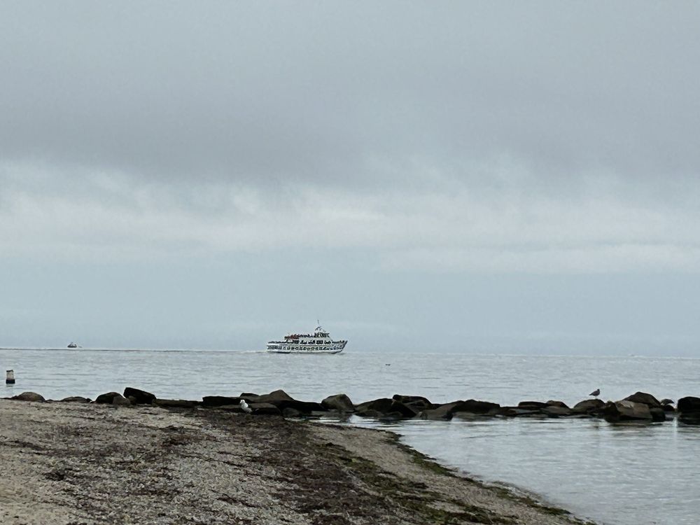 SURF DRIVE BEACH - Updated April 2025 - 23 Photos & 15 Reviews - Surf ...