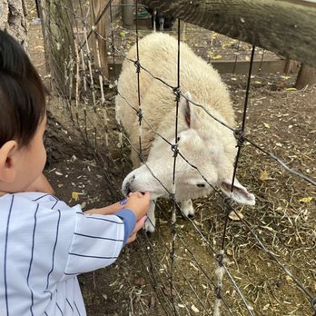 POWERS FARM MARKET - Updated August 2025 - 286 Photos & 53 Reviews ...