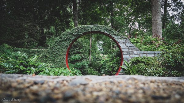 UNC CHARLOTTE BOTANICAL GARDENS - Updated July 2025 - 276 Photos & 47 ...