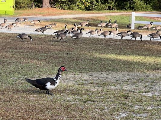 ROCK RIDGE CAMPGROUND - Updated July 2025 - 7030B Rock Ridge School Rd ...