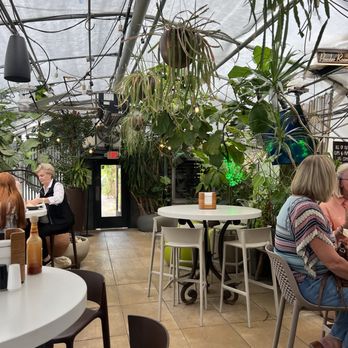 THE GREENHOUSE BAR - Updated May 2024 - 328 Photos & 284 Reviews - 2211 ...