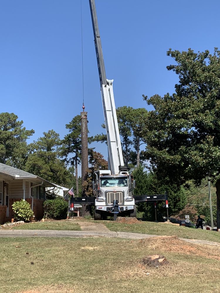 CASTOR TREE SERVICE & LANDSCAPING - TEMP. CLOSED - Updated June 2024 ...