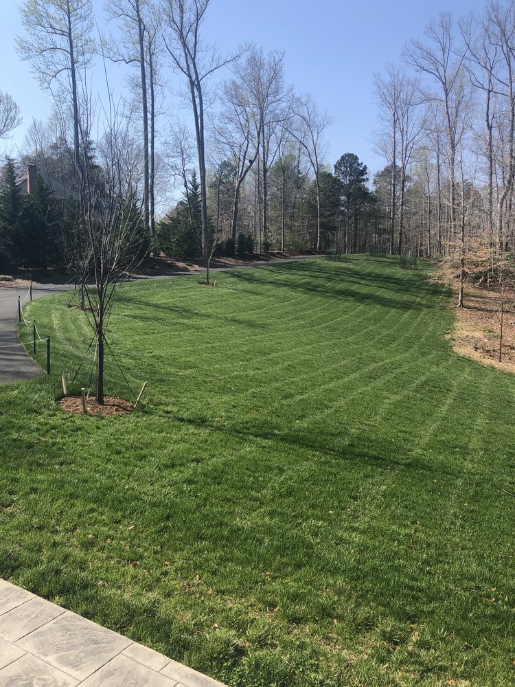 RIDGELINE TURF - Updated July 2025 - Charlottesville, Virginia ...