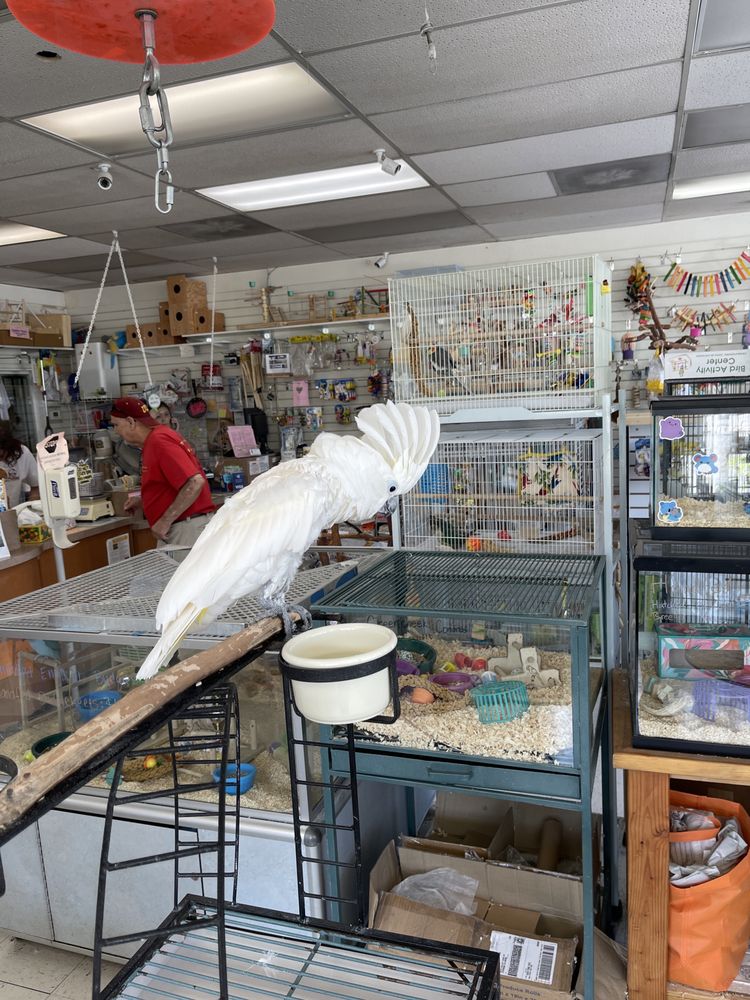 EXOTIC BIRDS BY FRAN - Updated April 2025 - 134 Photos & 154 Reviews ...