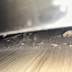 KBC MANAGEMENT - Updated January 2026 - 42 Reviews - 4700 S Macadam Ave ...