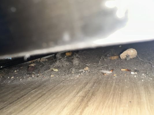 CAPITAL PROPERTY MANAGEMENT - Updated January 2026 - 12 Photos & 122 ...