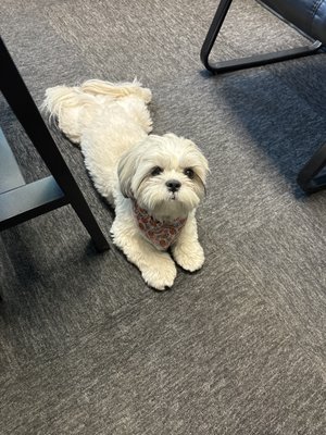 ADAM S KUTNER & ASSOCIATES - Updated August 2025 - 34 Photos & 383 ...