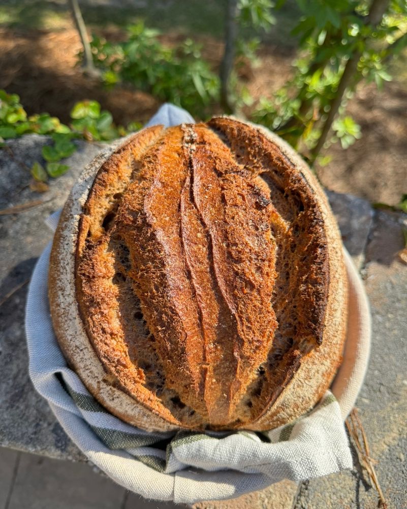 LOCAL THYME BAKERY - Updated October 2025 - 63 Photos - Pensacola, Florida - Bakeries ...