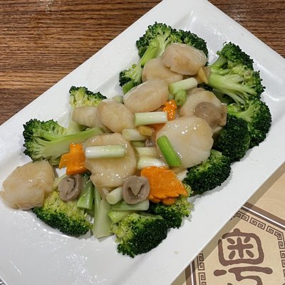 CANTON LANE - Updated June 2025 - 13 Photos - 227 Belmont Avenue, Perth ...