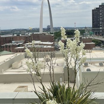 RAMSAY’S KITCHEN AT THE FOUR SEASONS ST. LOUIS - Updated July 2024 ...