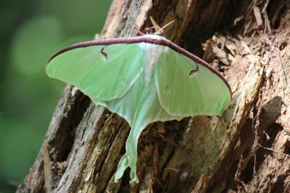 RUSSELL POND CAMPGROUND - Updated August 2025 - 17 Photos & 21 Reviews ...