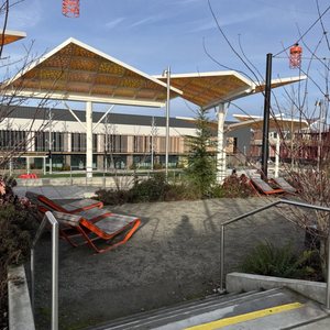 EVERETT COMMUNITY ICE RINK - Updated May 2025 - 15 Reviews - 2000 ...