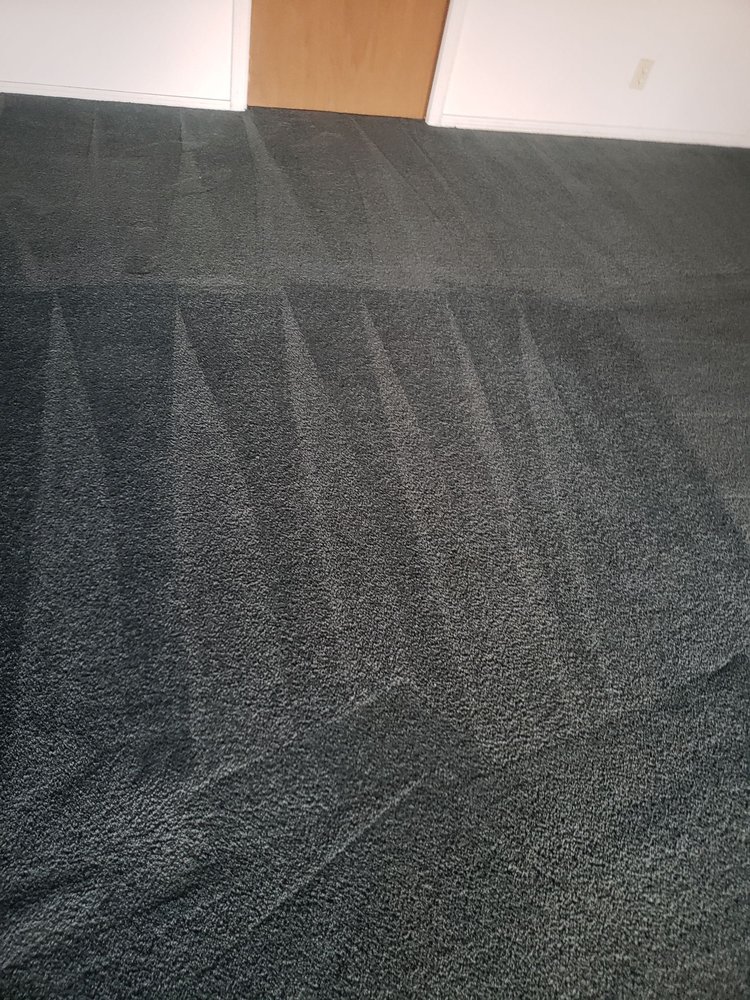 THOROCLEAN - Updated July 2025 - 17 Photos & 37 Reviews - 3206 Alta ...