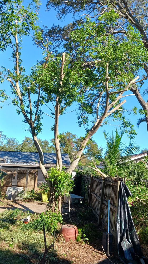 BUBBA SHRUBS LANDSCAPING AND TREE SERVICE - Updated October 2025 - NEW ...