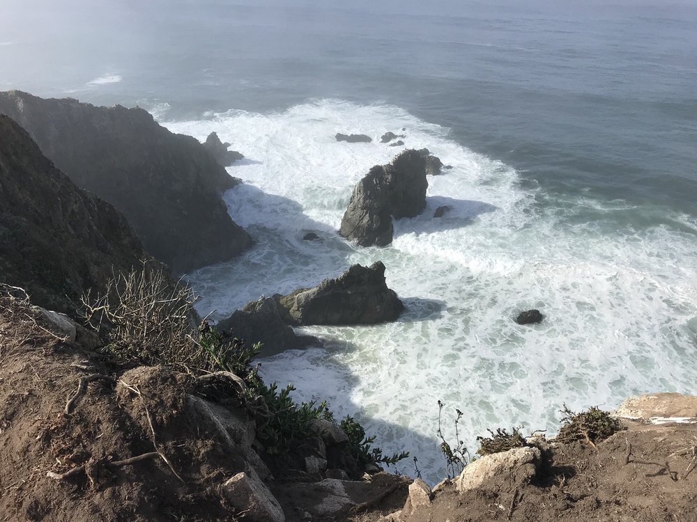 TOMALES BLUFF - 27 Photos - Tomales Point Trl, Inverness, California ...