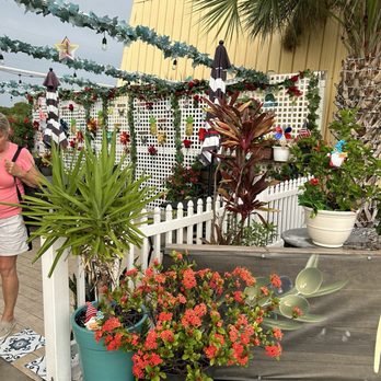 PITALUV - Updated December 2025 - 97 Photos & 138 Reviews - 5447 Spring ...