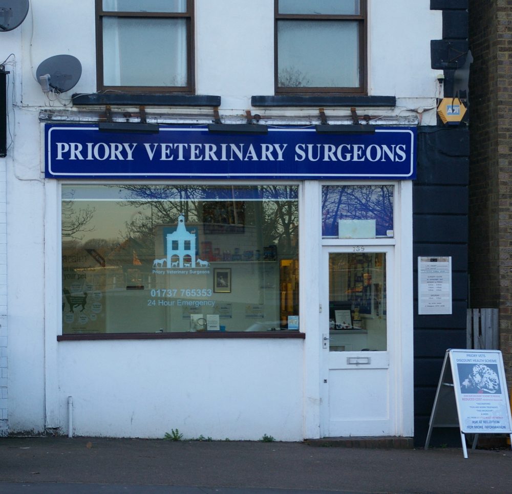 PRIORY VETERINARY SURGERY - Updated July 2025 - 139 Brighton Road ...