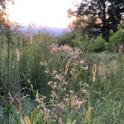 LEN FOOTE HIKE INN - 89 Photos & 31 Reviews - 280 Amicalola Falls State ...