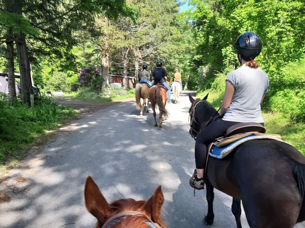 TOP VIEW RIDING RANCH - Updated November 2025 - 91 Photos - 36 Hess Rd ...