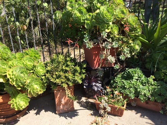 FOUNTAIN VALLEY LIBRARY - Updated December 2025 - 55 Photos & 50 ...