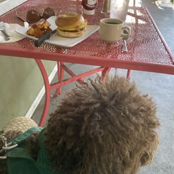 JESTER’S CAFÉ - Updated August 2025 - 164 Photos & 212 Reviews - 607 ...