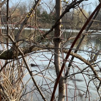 DELAWARE PARK - Updated September 2025 - 153 Photos & 69 Reviews - 84 ...