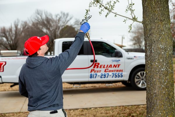 RELIANT TERMITE & PEST CONTROL - Updated December 2025 - 16 Photos ...