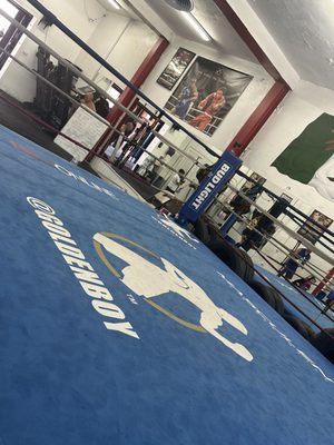 C M BOXING STABLES - Updated October 2025 - 42 Photos & 16 Reviews ...