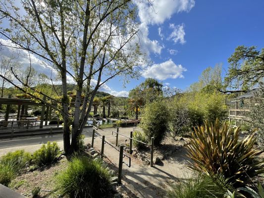 SAFARI WEST - 2947 Photos & 957 Reviews - 3115 Porter Creek Rd, Santa ...