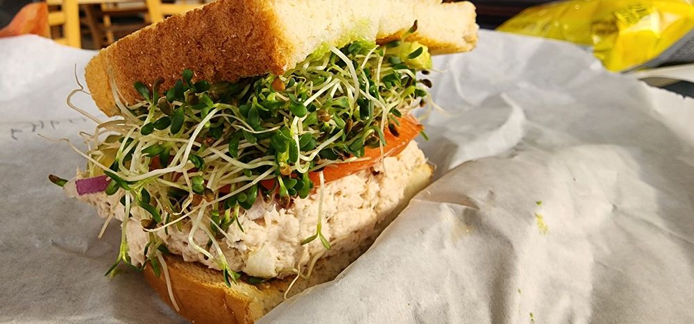 SANDWICH PLUS - Updated December 2025 - 161 Photos & 182 Reviews - 1028 ...