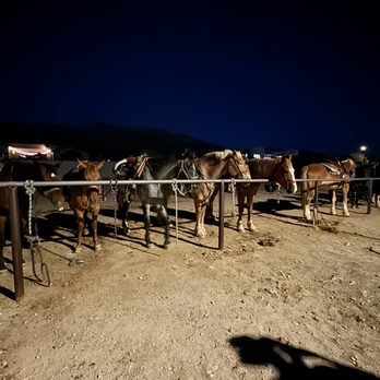 PONDEROSA STABLES - Updated October 2025 - 342 Photos & 238 Reviews ...