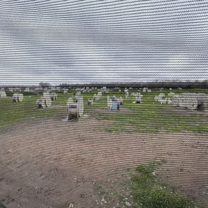 EXTREME PAINTBALL PARK - 127 Photos & 98 Reviews - 7400 Dusty Ln ...