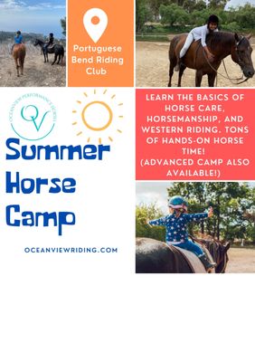 OCEANVIEW PERFORMANCE HORSES - 37 Photos - 40 Narcissa Dr, Rancho Palos ...