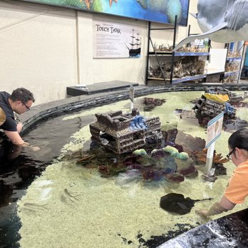 THAT FISH PLACE - THAT PET PLACE - Updated December 2025 - 149 Photos ...