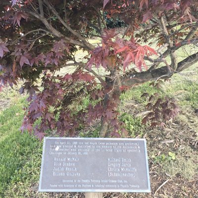 FRANKLIN TOWNSHIP PUBLIC LIBRARY - Updated May 2024 - 37 Photos & 11 Reviews - 485 DeMott Ln ...