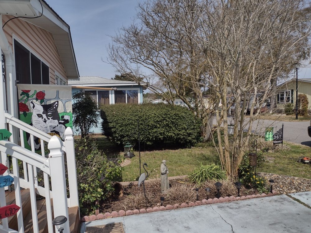 LEWIS BROTHERS TREE CARE - Updated July 2025 - 15 Photos - Murrells ...