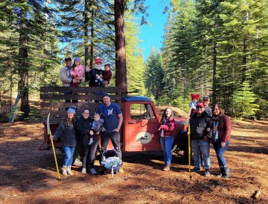 LITTLE BEAR TREE FARM - Updated November 2025 - 46 Photos & 29 Reviews ...