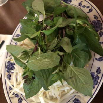 PHOENIX NOODLE HOUSE - Updated December 2025 - 399 Photos & 677 Reviews ...