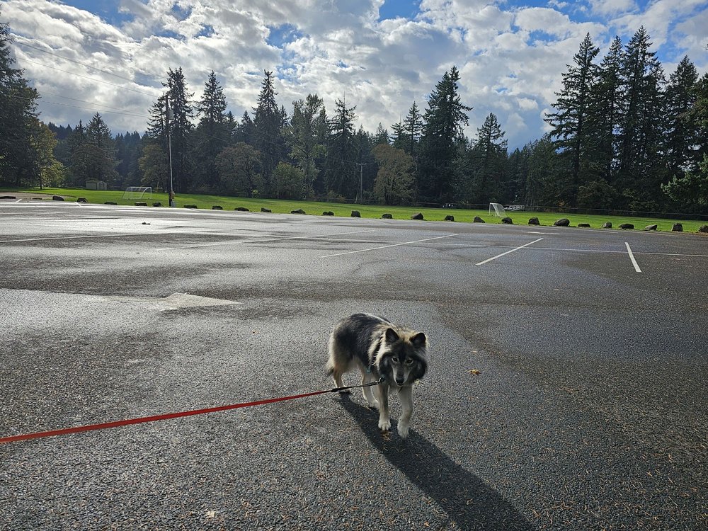 TIMBER DISC GOLF COURSE - Updated July 2025 - 30878 NW Evergreen Way ...