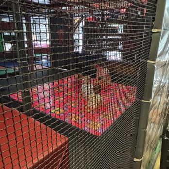 PLAYDATE PDX - Updated January 2026 - 201 Photos & 369 Reviews - 1434 ...