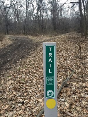 FOREST PRESERVE DISTRICT OF COOK COUNTY, ILLINOIS - Updated October ...